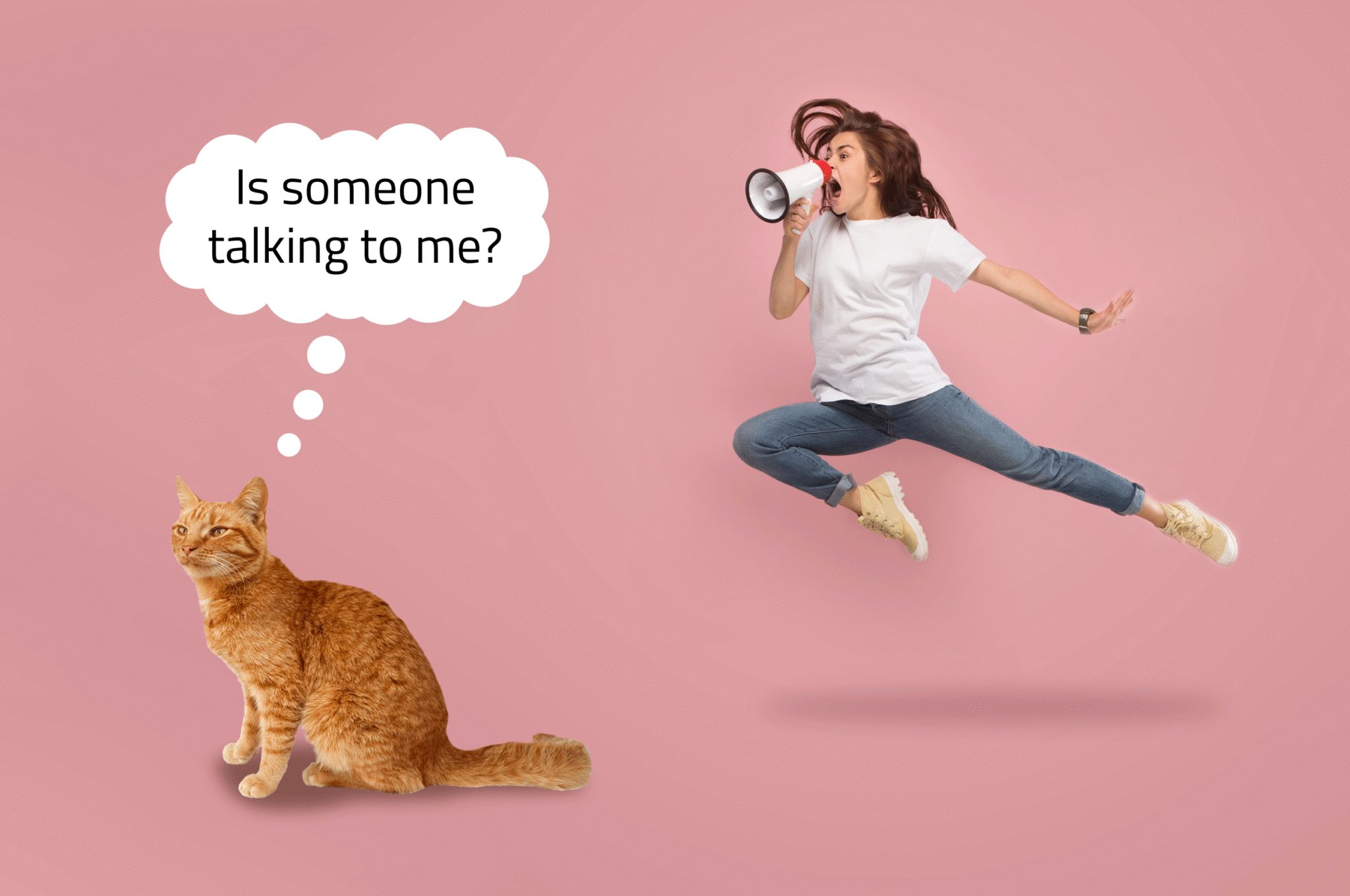 Cats Listen – B-School News