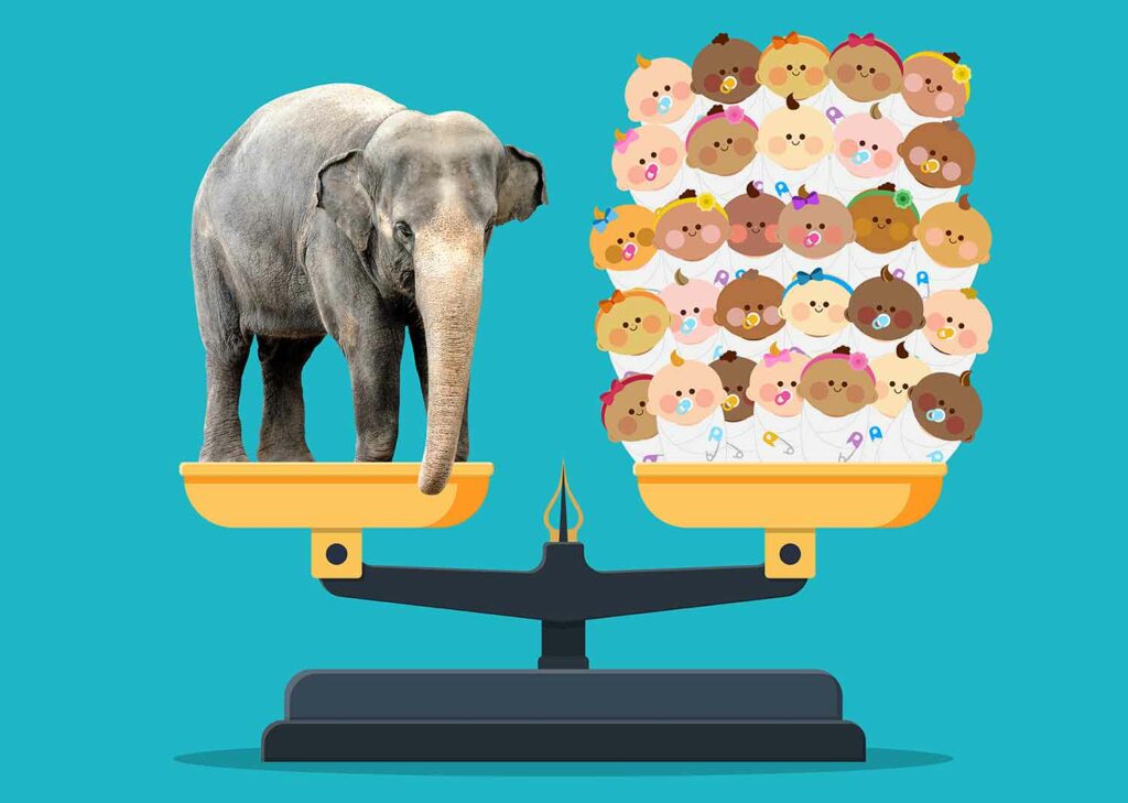 Strike a Pose! - B-School News