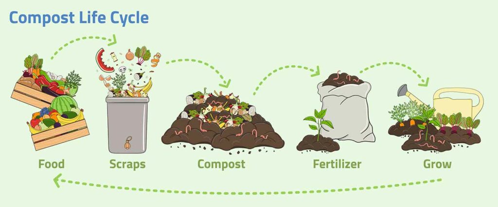 Did South Korea Fix the Food Waste Problem? - B-School News