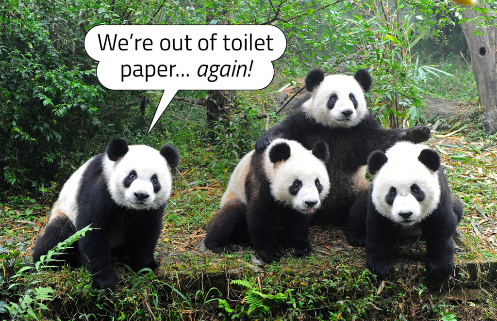 Meet the Bao Twins! - B-School News