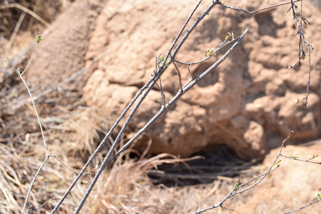 An Amazing Discovery - B-School News