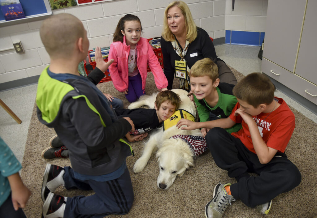 Lawmakers Hope For More Therapy Dogs - B-School News