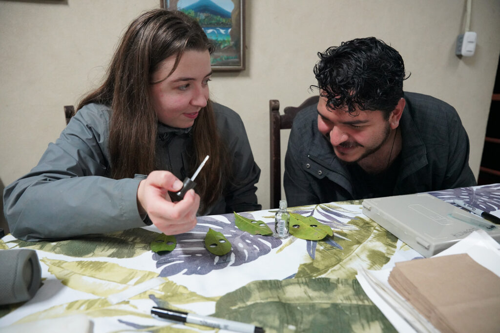 Can Trees Sound the Alarm? - B-School News